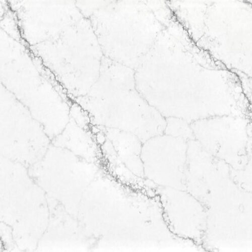 Platinum Quartz | Calacatta Venus